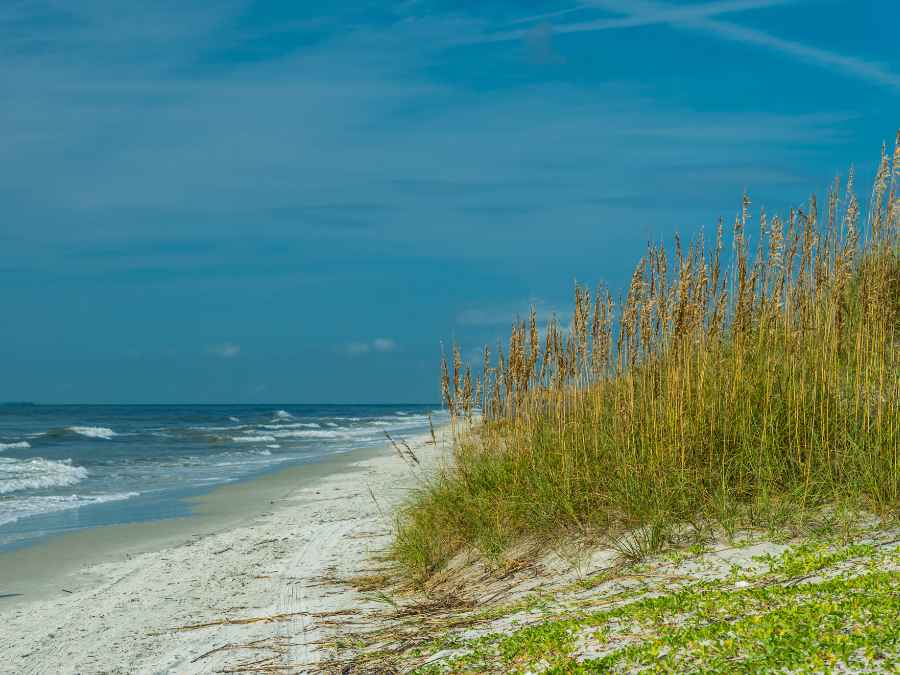 Coastal Getaways: Best Beaches and Tips for Exploring the Southeast ...